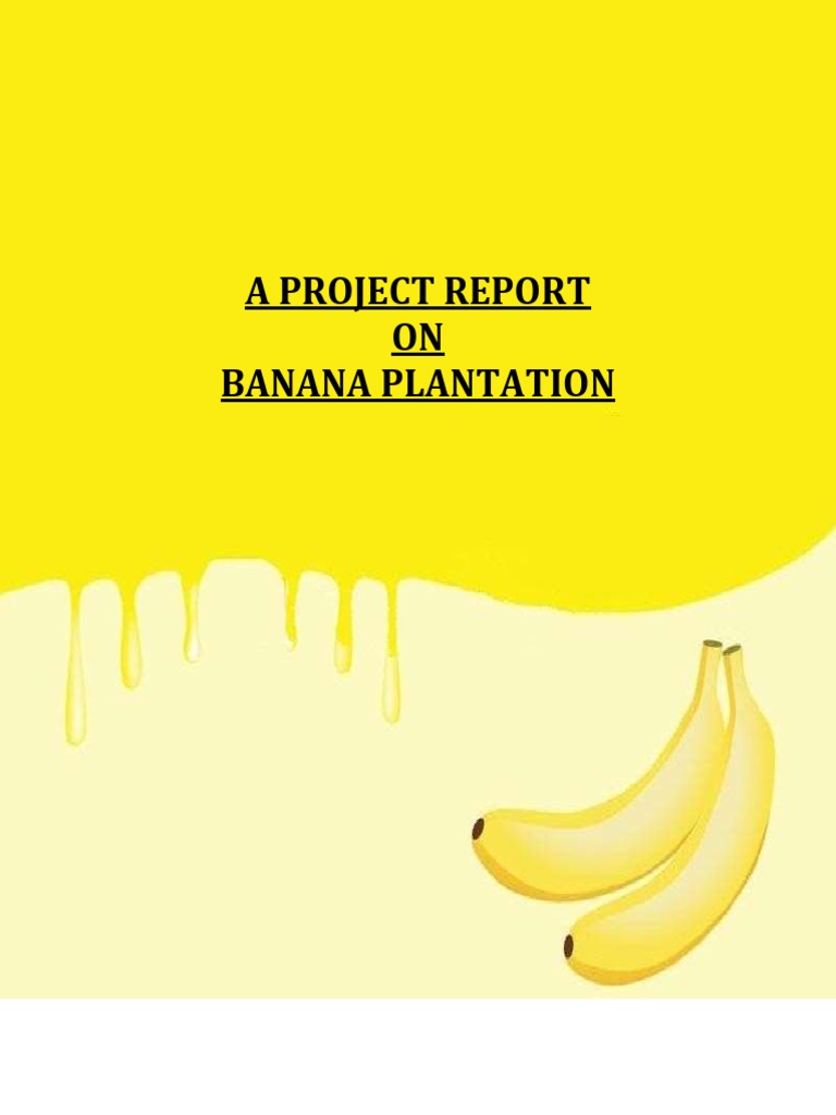 A Project Report On Banana Plantation | PDF | Banana | Depreciation