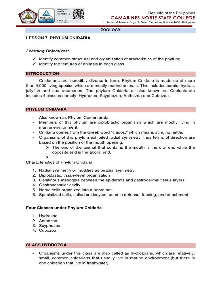 Lesson 7. Phylum Cnidaria | PDF | Coral Reef | Aquatic Animals