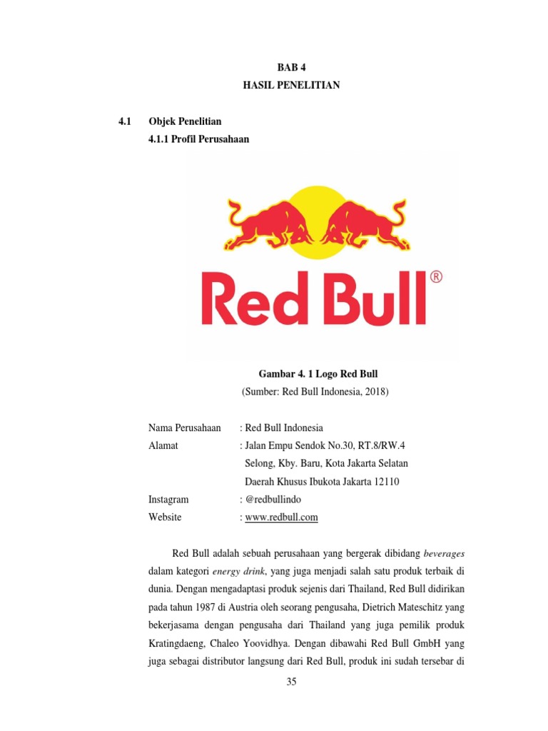 Profil dan Strategi Red Bull Indonesia | PDF