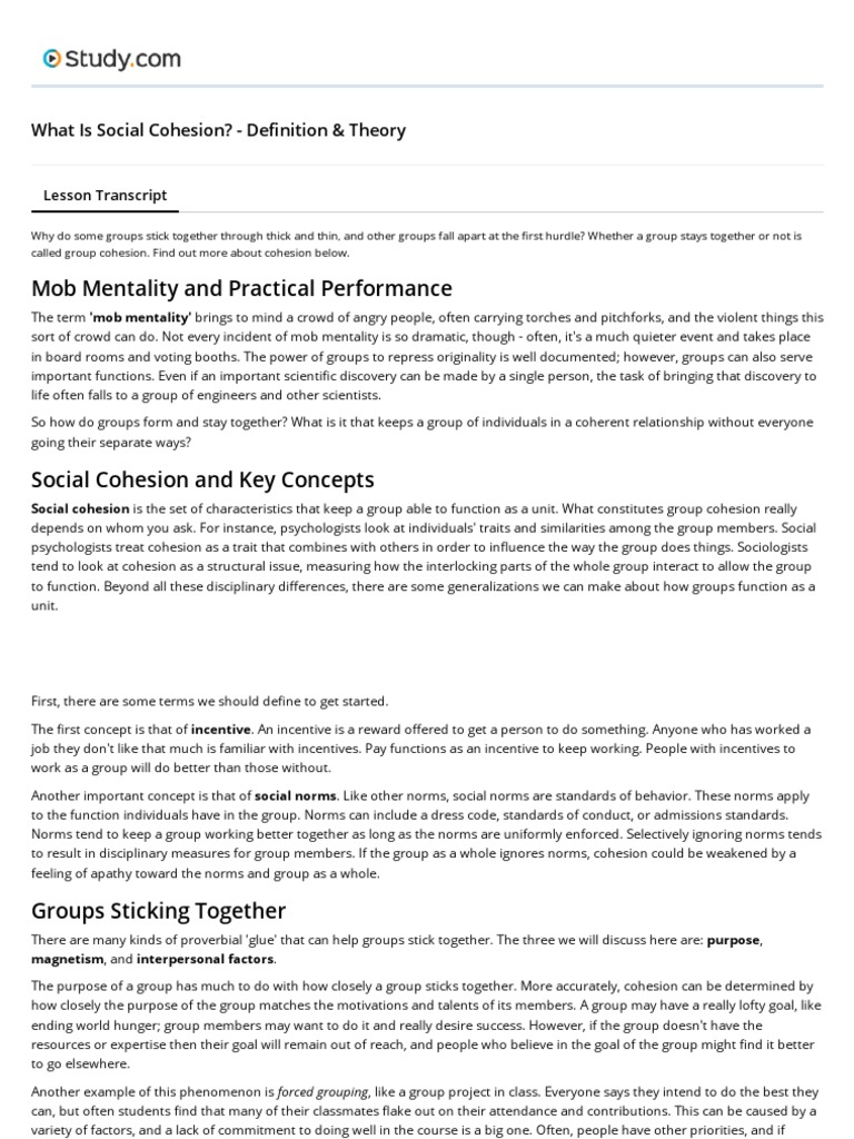 What Is Social Cohesion | PDF | Group Cohesiveness | Incentive