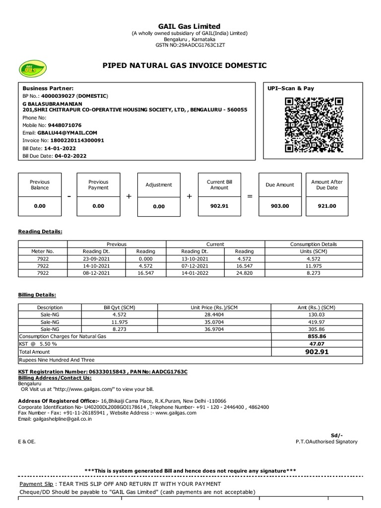 Piped Natural Gas Invoice Domestic | PDF | Cheque | Liquefied Petroleum Gas