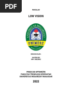 Panduan Rehabilitasi Low Vision | PDF