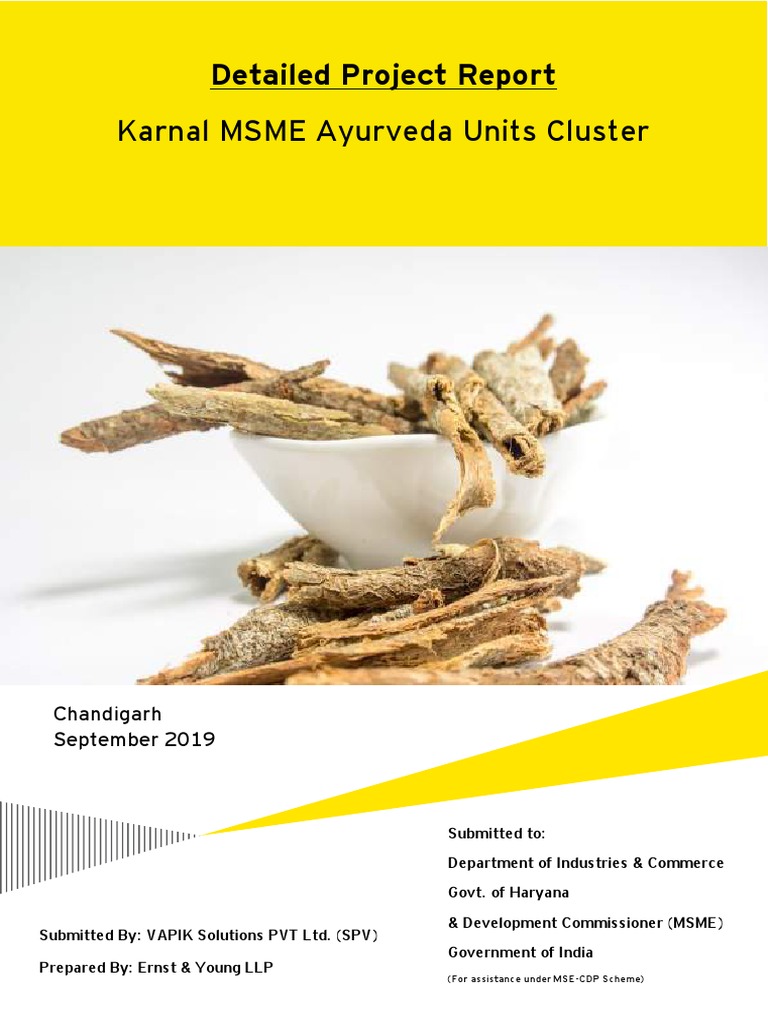 Karnal MSME Ayurveda Units Cluster: Detailed Project Report | PDF | Expense | Ayurveda