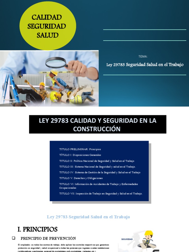 Ley 29783 | PDF | Valores | Derecho laboral
