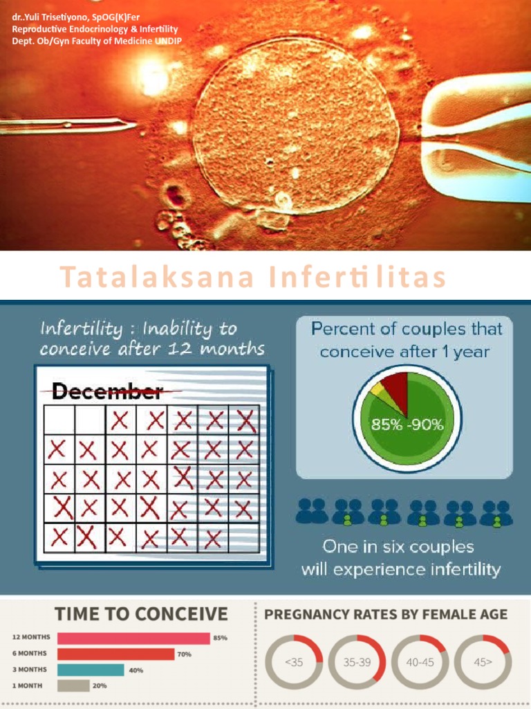Tatalaksana Infertilitas | PDF