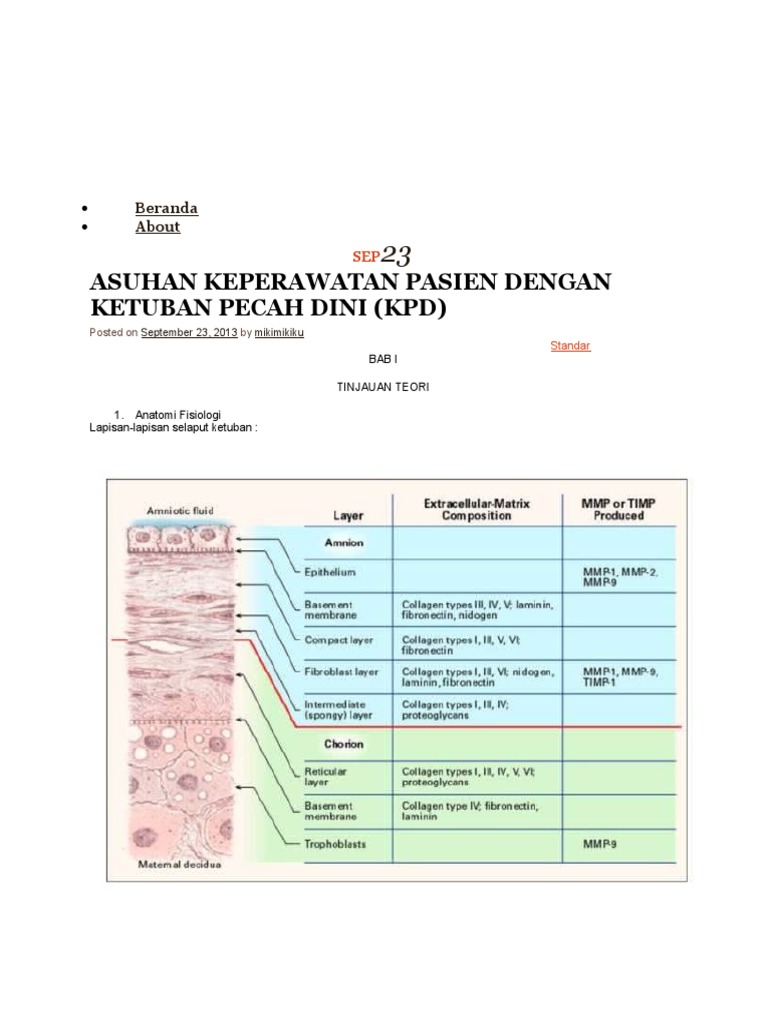 Ketuban Pecah Dini | PDF
