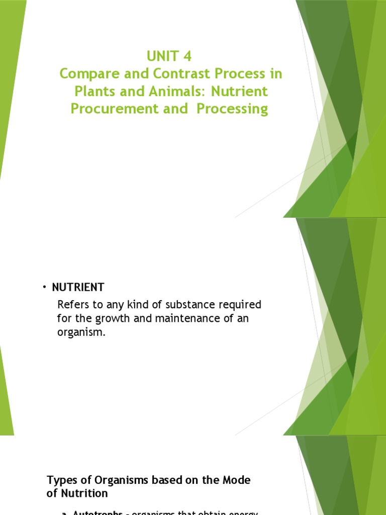 Unit 4 Compare and Contrast Process in Plants and Animals: Nutrient Procurement and Processing | PDF