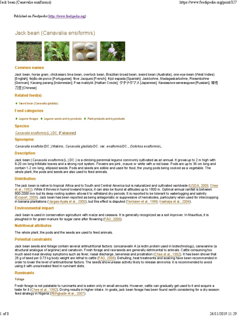Jack BeanCanavalia Ensiformis | PDF | Legume | Bean