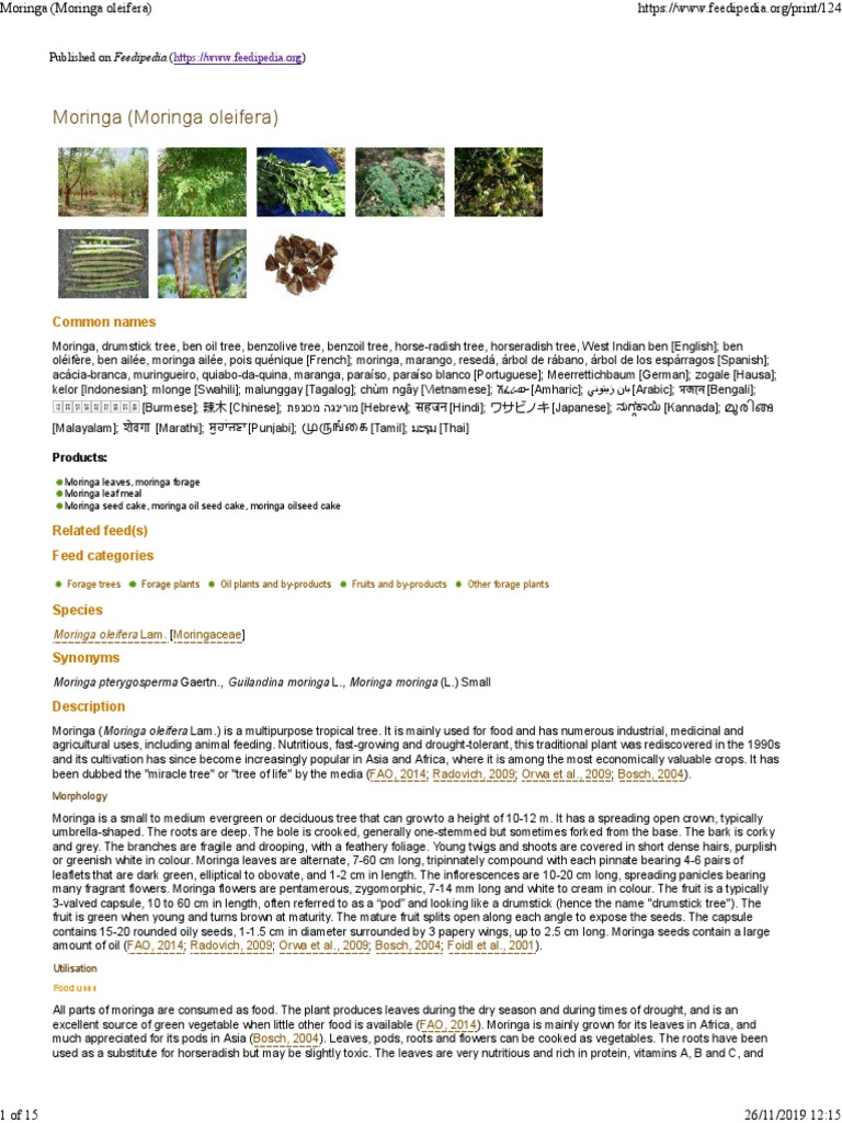 Moringa (Moringa Oleifera) : Common Names | PDF | Ruminant | Dairy Cattle