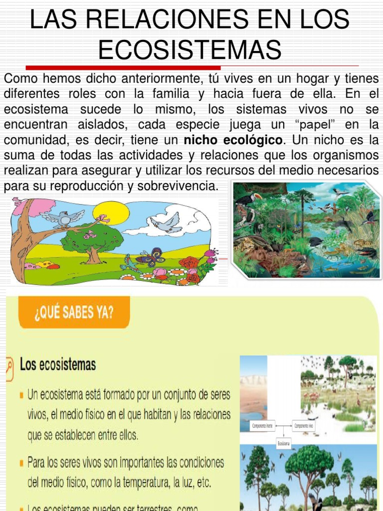 Guia I Relaciones Intra e Inter | PDF