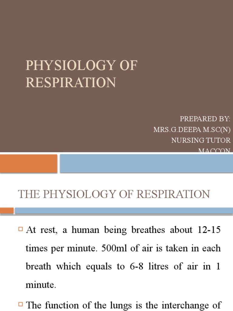 A&P - PHYSIOLOGY OF RESPIRATION - Inspiration | PDF | Respiratory ...