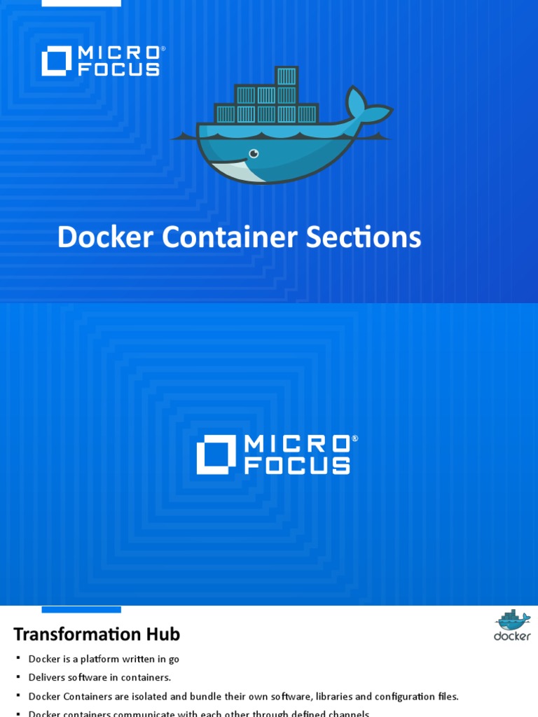 Docker Container Sections | PDF | Representational State Transfer | Command Line Interface