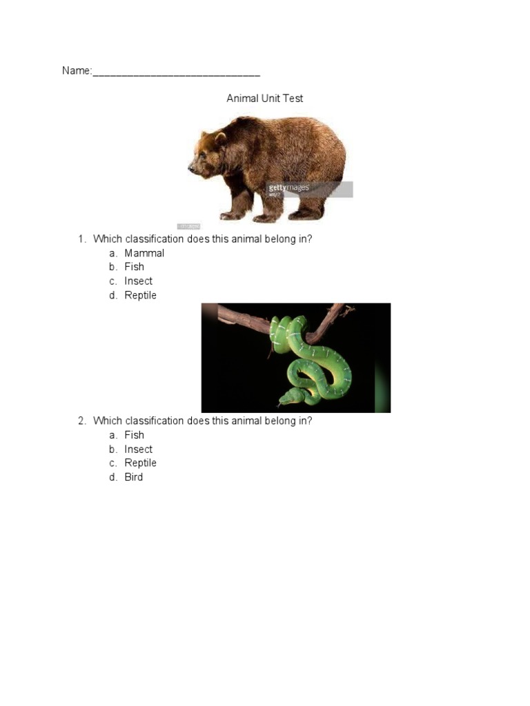 Animal Unit Test | PDF | Home & Garden | Wellness