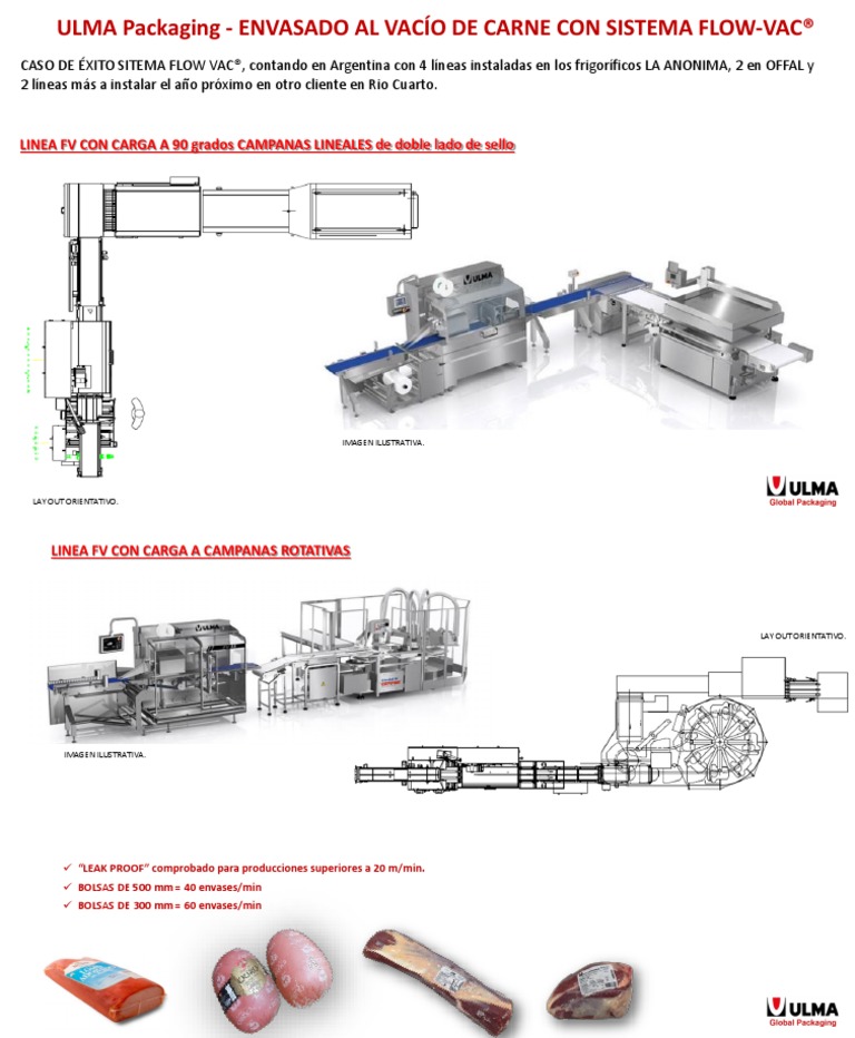 Presentacion Flow Vac | PDF