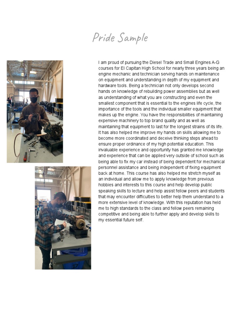 Bryan Xiong - Pride Sample Doc 1 | PDF | Business | Technology ...