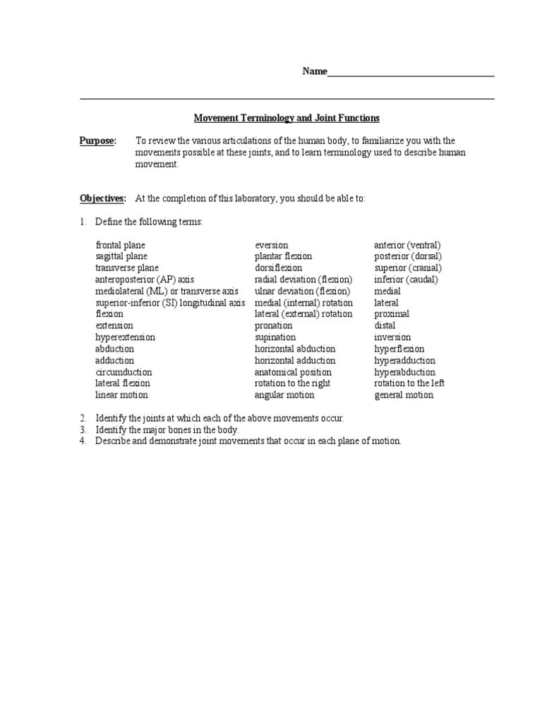 Movement Terminology Worksheet-2 | PDF | Anatomical Terms Of Motion ...