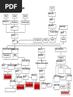 Acute Kidney Injury Concept Map | PDF | Angiotensin | Kidney