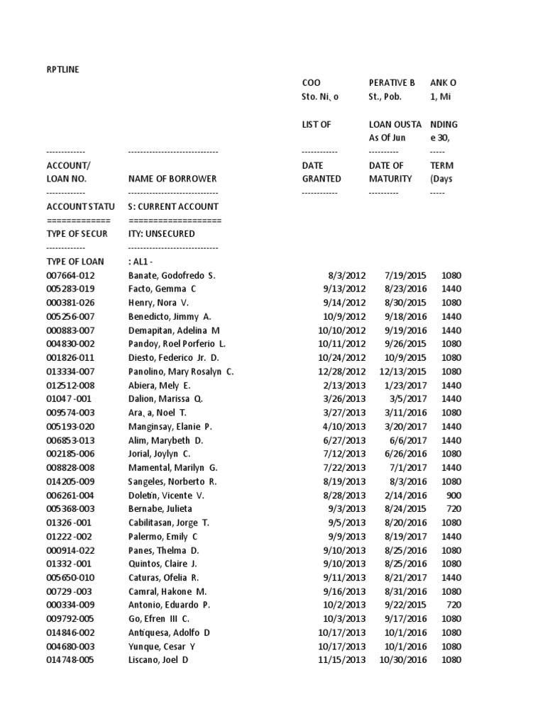 Loan Classification by Security | PDF