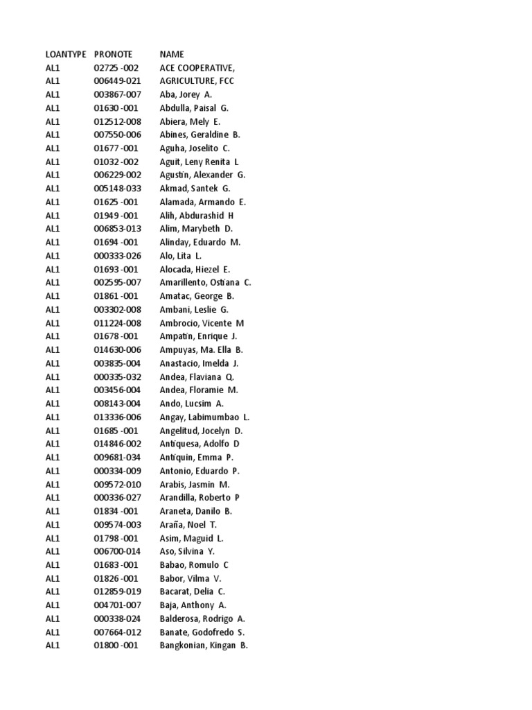 Loan List | PDF