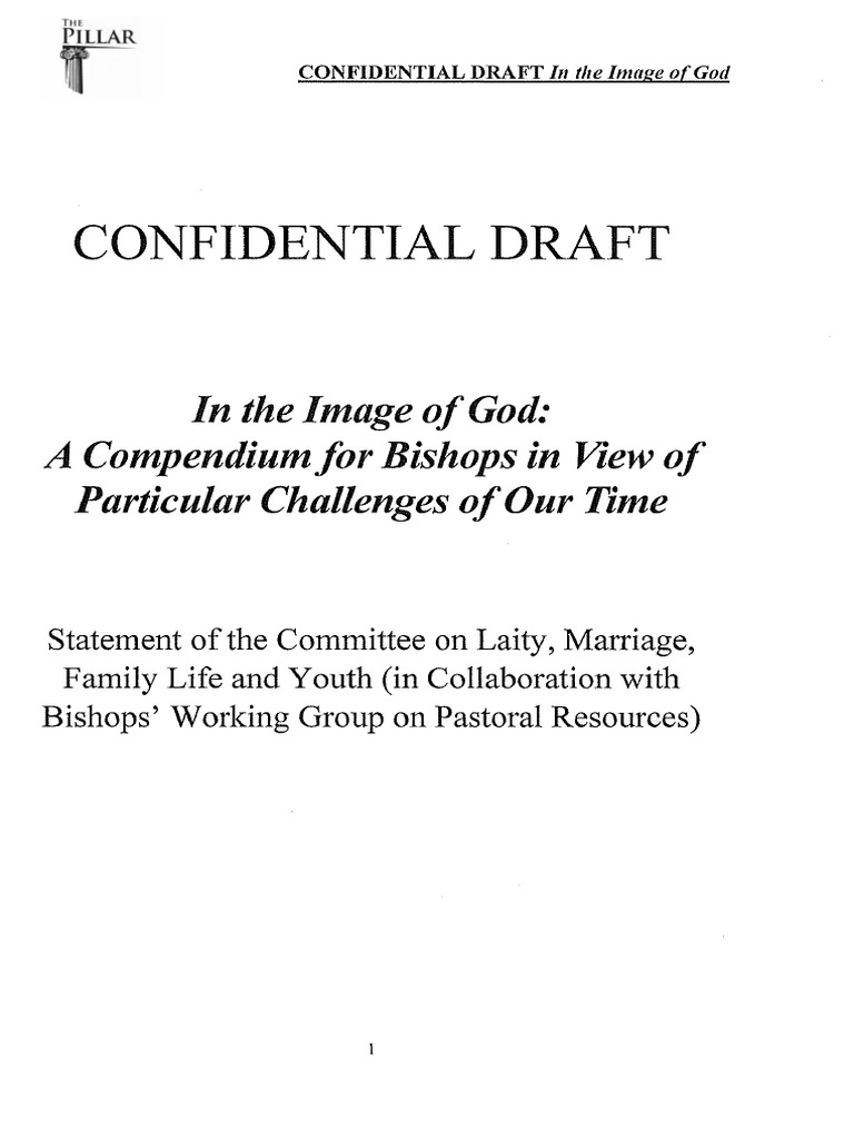 "In The Image of God" - USCCB | PDF