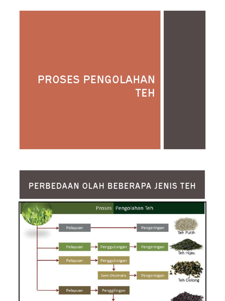 Proses Pengolahan Teh Hijau dan Hitam | PDF