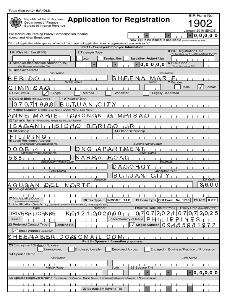 Application For Registration: BIR Form No | PDF | Identity Document ...