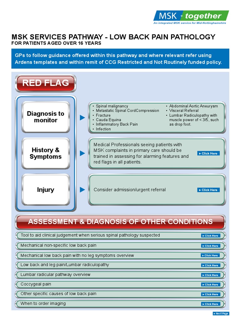 4.low Back Pain | PDF | Back Pain | Low Back Pain