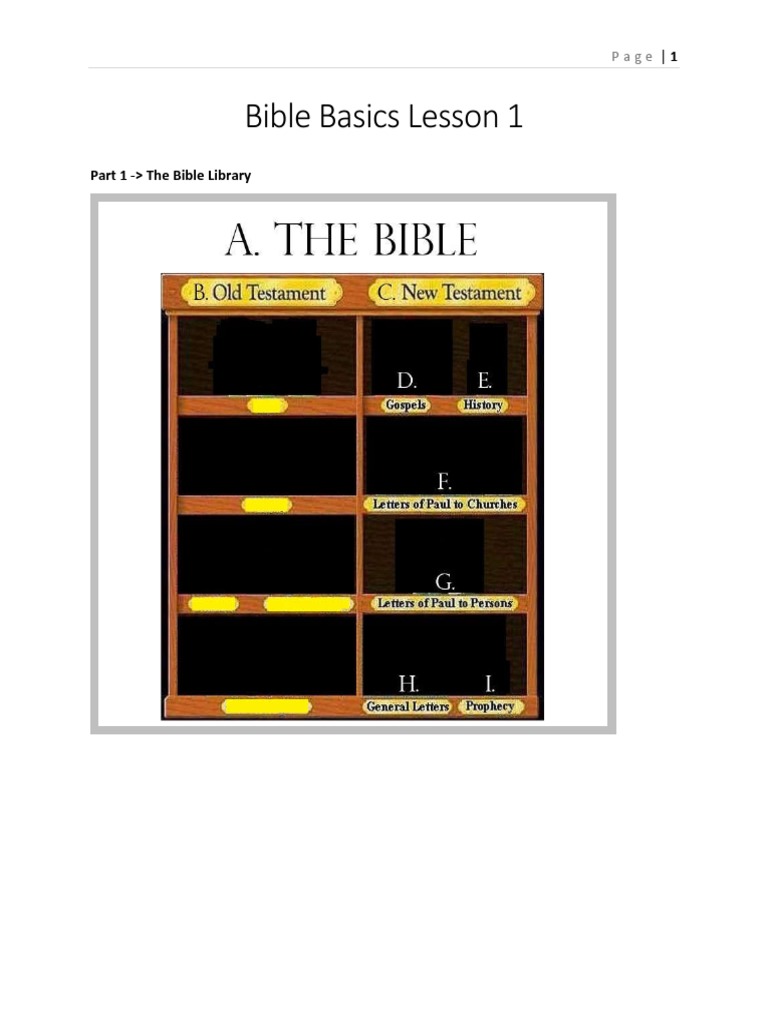 Bible Basics for Beginners | PDF | New Testament | Bible