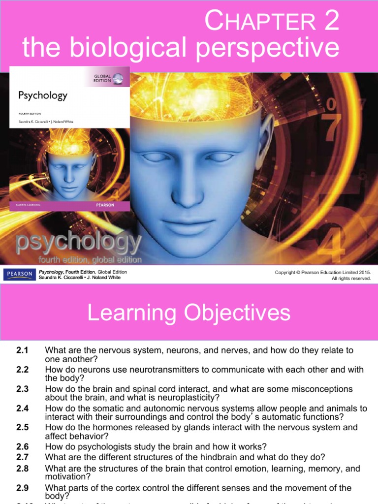 CHP 2 The Biological Perspective | PDF | Nervous System | Neurotransmitter