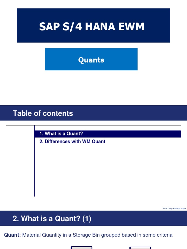 SAP EWM - Quants | PDF
