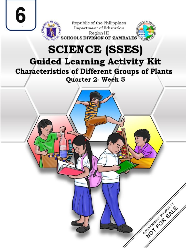Grade 6 - SSES - Science - Q2 - Wk5 - GLAK | PDF | Plants | Fern
