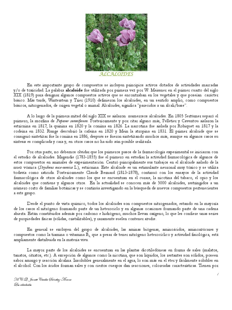 ALCALOIDES | PDF | Alcaloide | Compuestos orgánicos