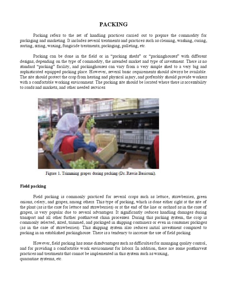 Packing | PDF | Packaging And Labeling | Pallet