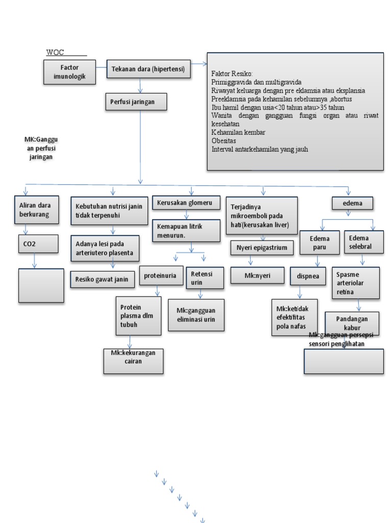 Woc Preeklamsia | PDF