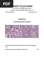 Histopathology Form | PDF