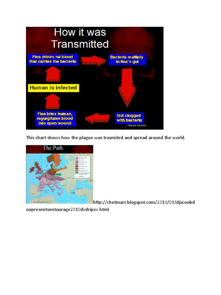 This Chart Shows How The Plague Was Trasmited and Spread Around The ...