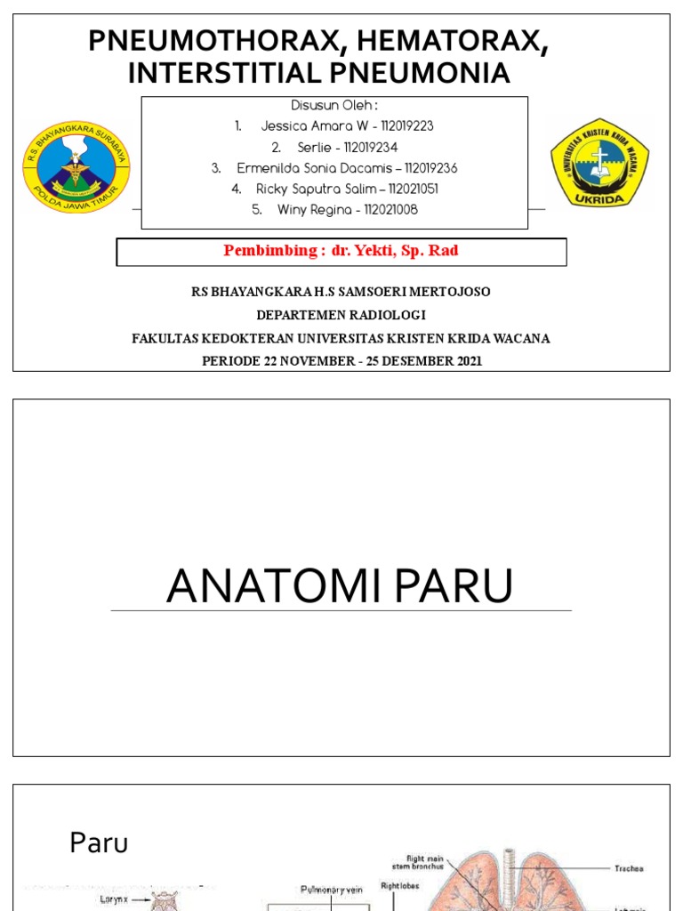 Kelompok Hemothorax Dan Anatomy | PDF