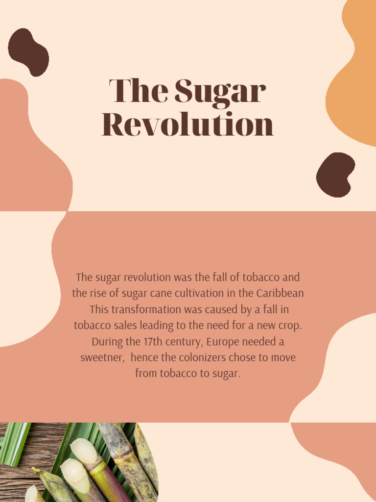 The Sugar Revolution | PDF | Sugarcane | Atlantic Slave Trade