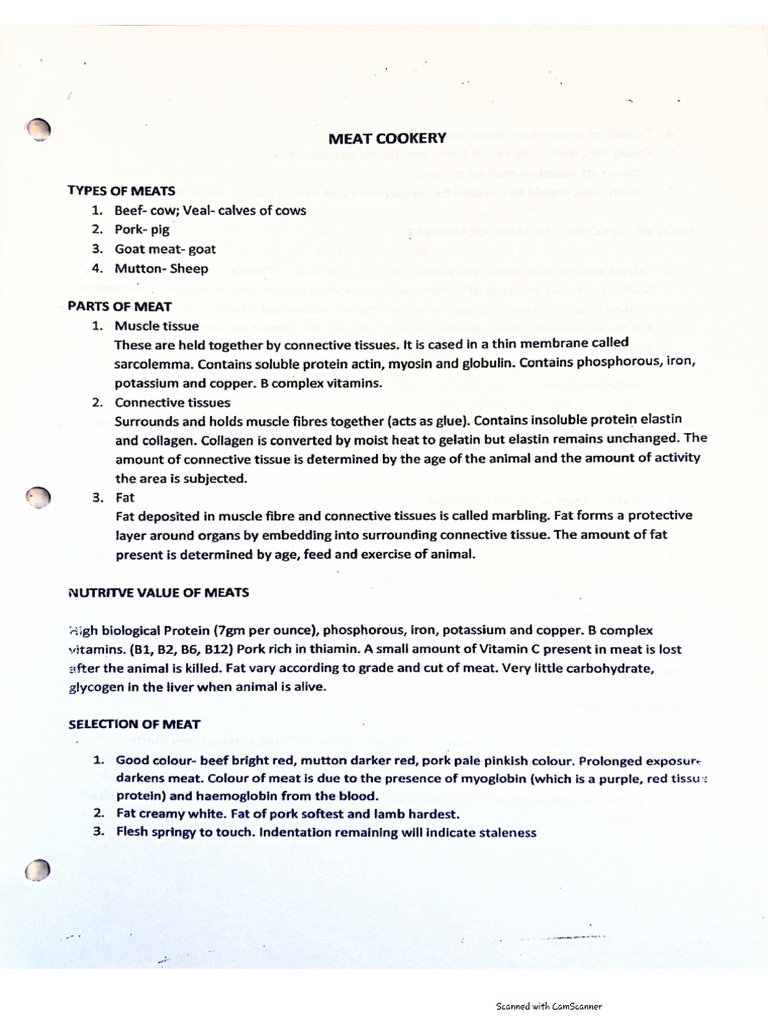 Meat Cookery Handout | PDF