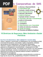 PE-1PBR-00208 - Versão E - MS Manual de Segurança | PDF | Ferramentas ...