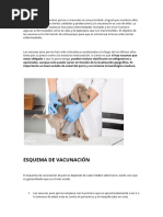 Pfizer Vanguard SP Final | PDF | Vacunas | Virus