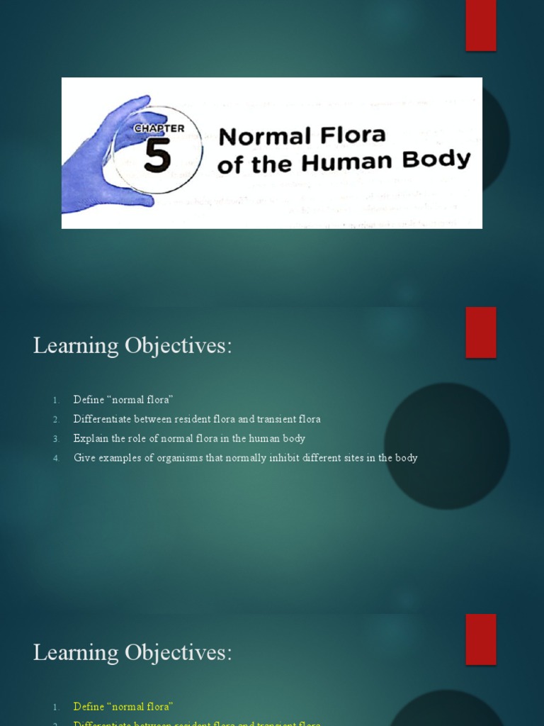 Chapter 05. Normal Flora of The Human Body | PDF | Gastrointestinal ...
