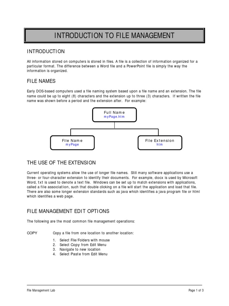 Introduction To File Management: Full Name | PDF | Computer File | Filename