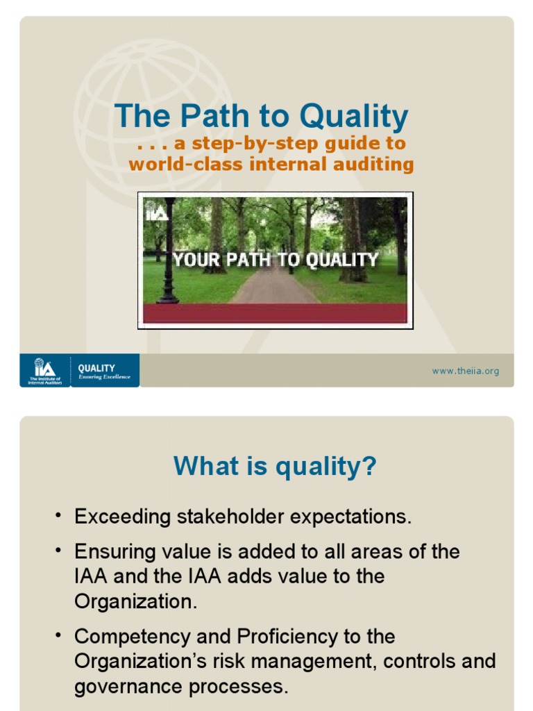 Level 1 Internal Audit Quality Guide | PDF | Internal Audit | Audit