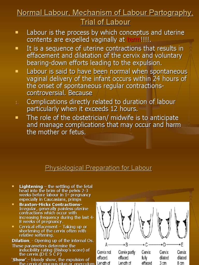 Normal Labour, Mechanism of Labour Partography | PDF | Childbirth | Pelvis