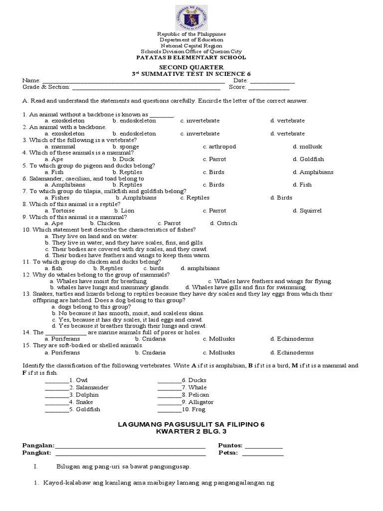 Grade 6 Summative Test 3 2ND Quarter | PDF | Amphibian | Vertebrates