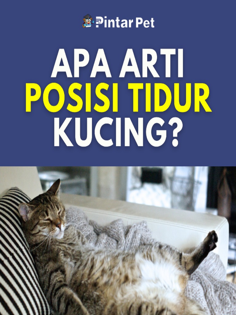 Penuh Makna, Inilah 9 Arti Dari Posisi Tidur Kucing | PDF