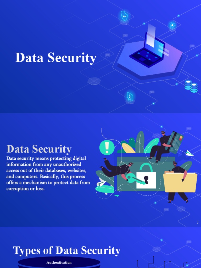 Data Security | PDF