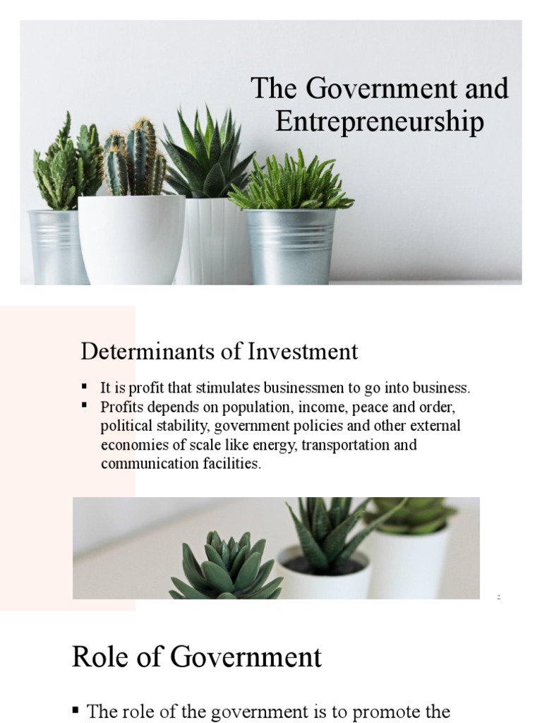 The Government and Entrepreneurship | PDF | Entrepreneurship | Economies