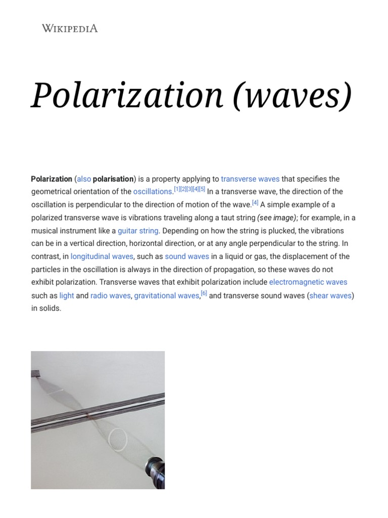 Polarization Waves | PDF | Polarization (Waves) | Waves